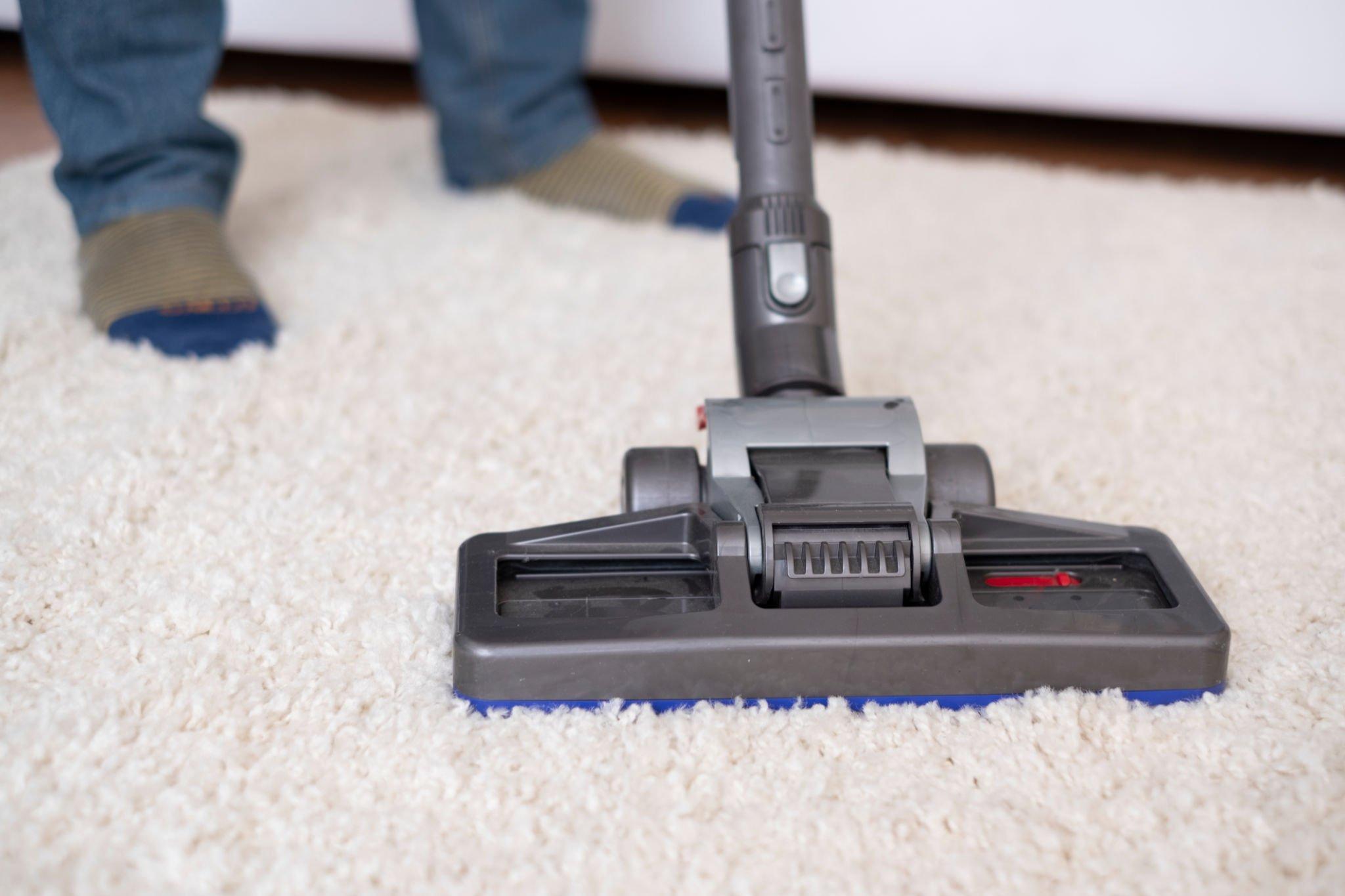 Top 9 Best Vacuum for Fleas Reviews & Buying Guides in 2022