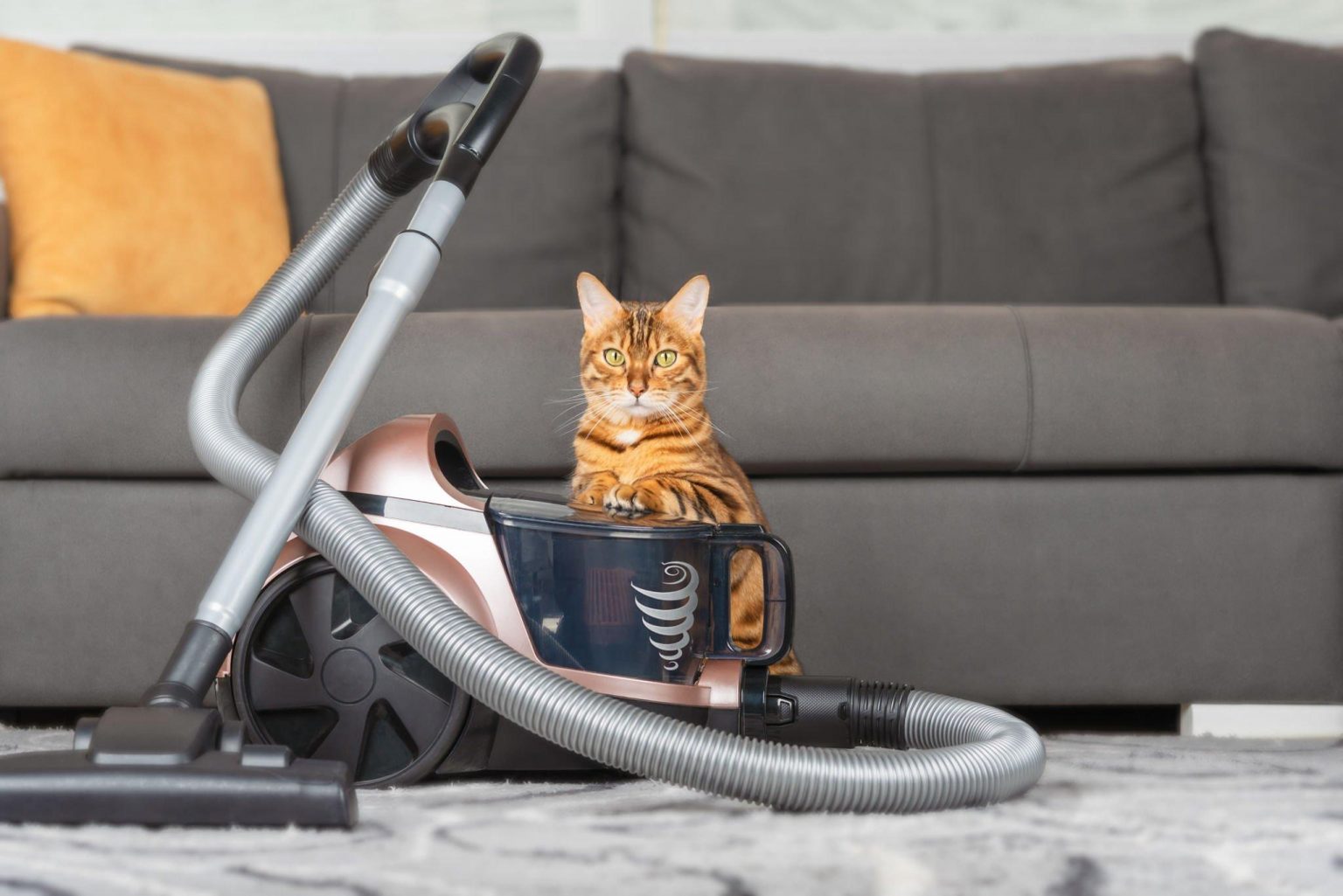 Why Are Vacuums So Loud - Top 7 Reasons & Solutions