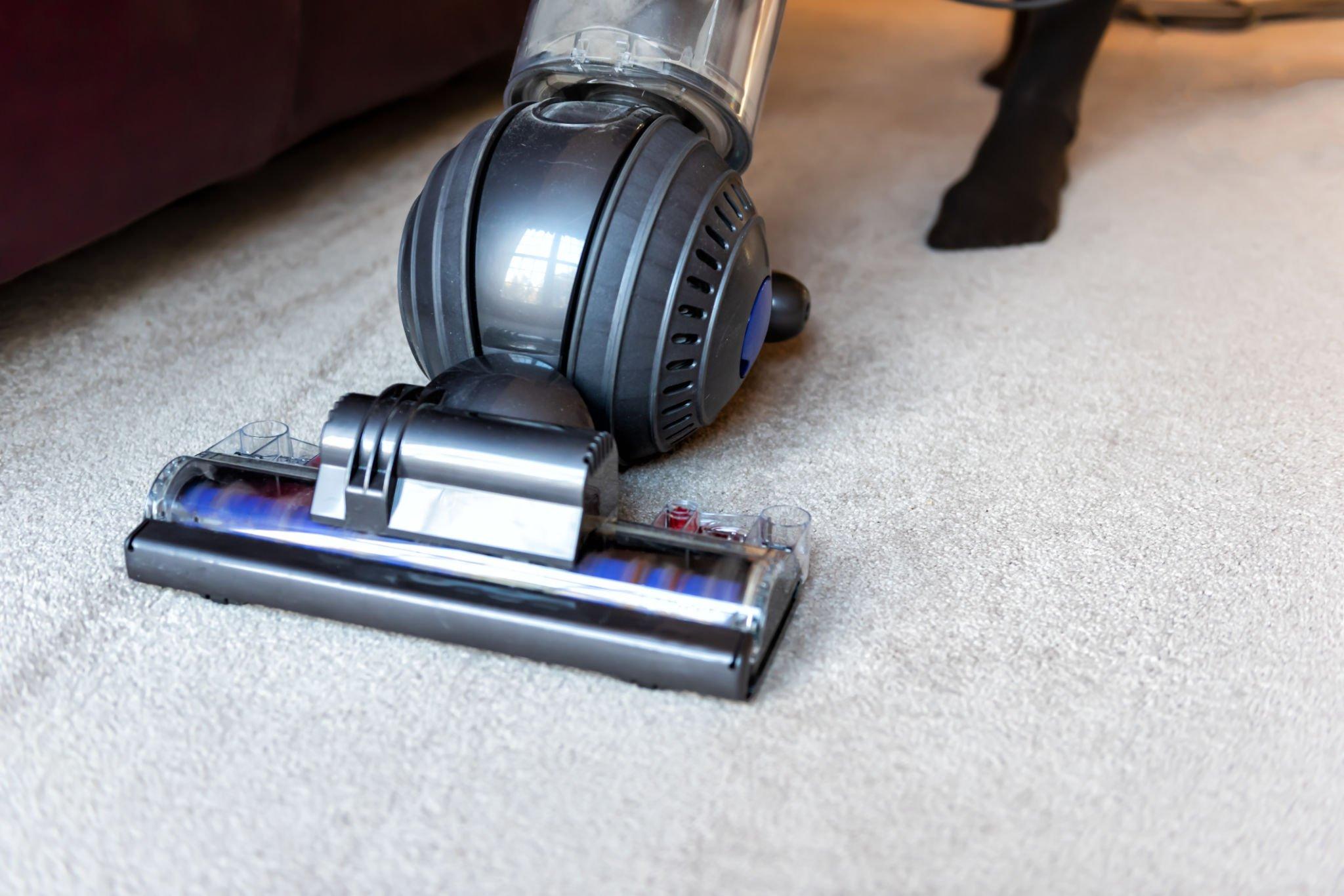 Can You Vacuum Rabbit Poop - Top 3 Best Vacuum